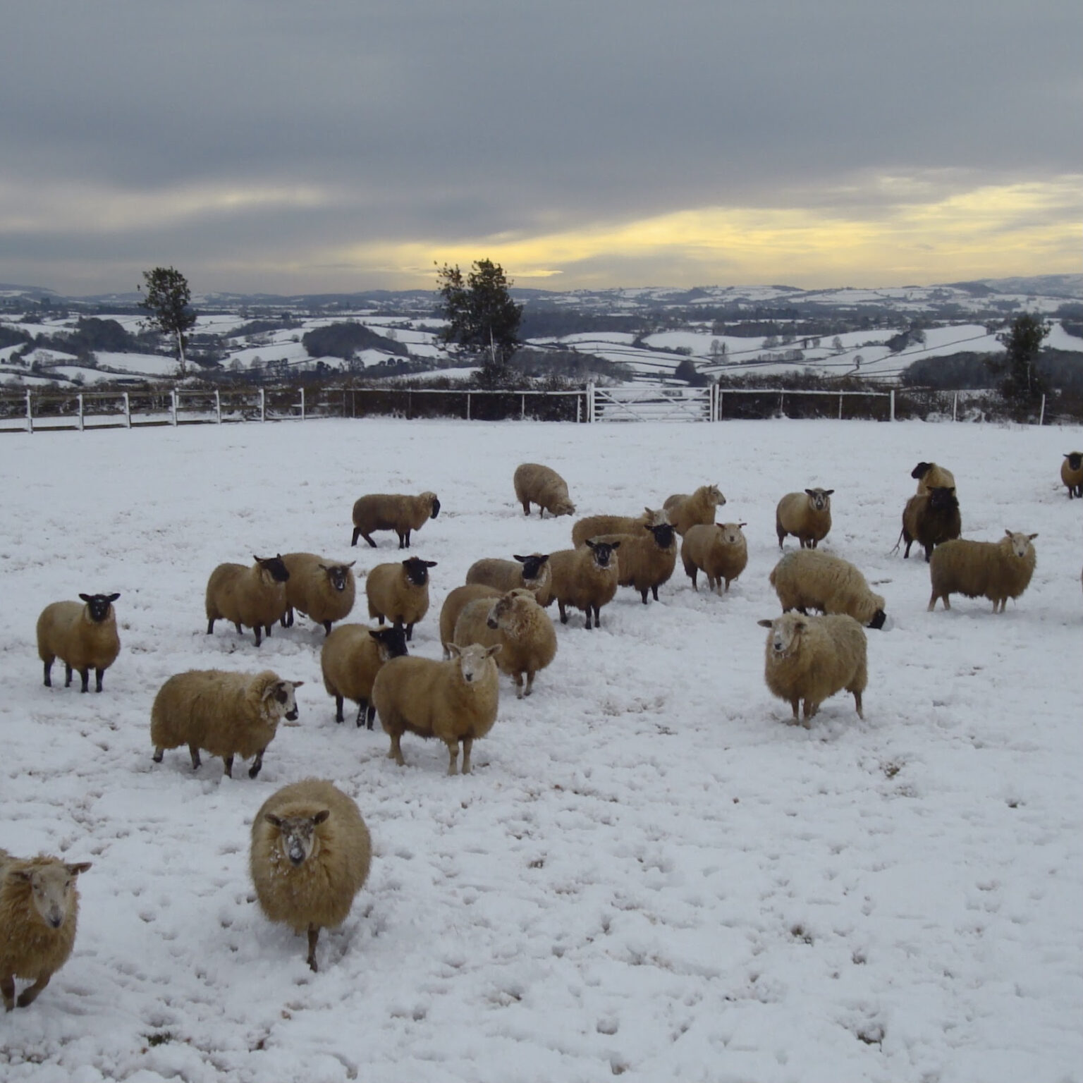 Home - Penylan Farm Self Catering Holiday Cottages near Monmouth